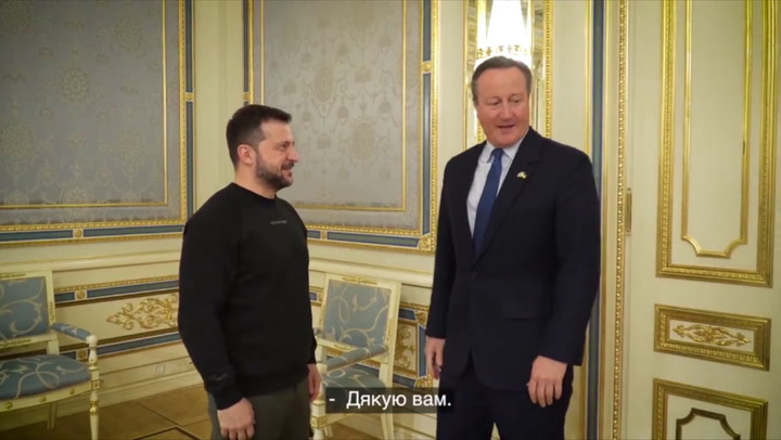 British Foreign Secretary David Cameron Meets Zelenskyy in First ...