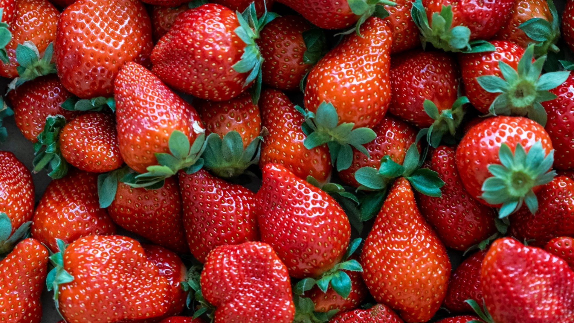 Lebanese Strawberries Meet the Specifications | Kataeb