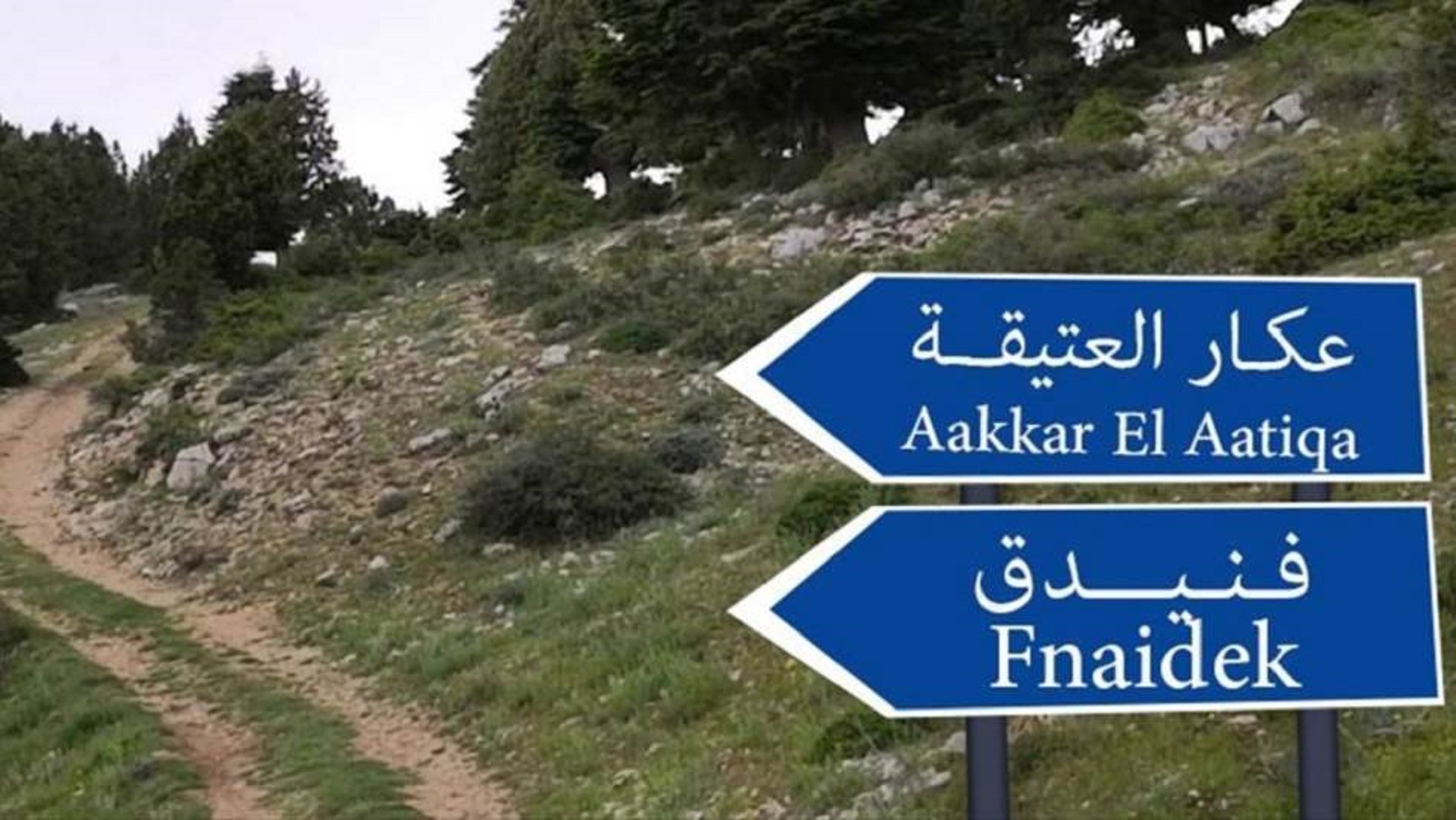 هل يسلك الخلاف العقاري على القمّوعة سكّة المعالجة؟ | الكتائب