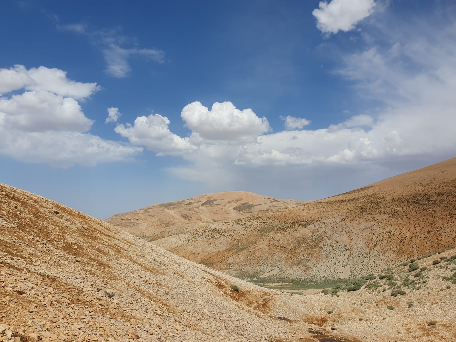 Protecting Ecological Treasures: at the Heart of One of the EU’s ...