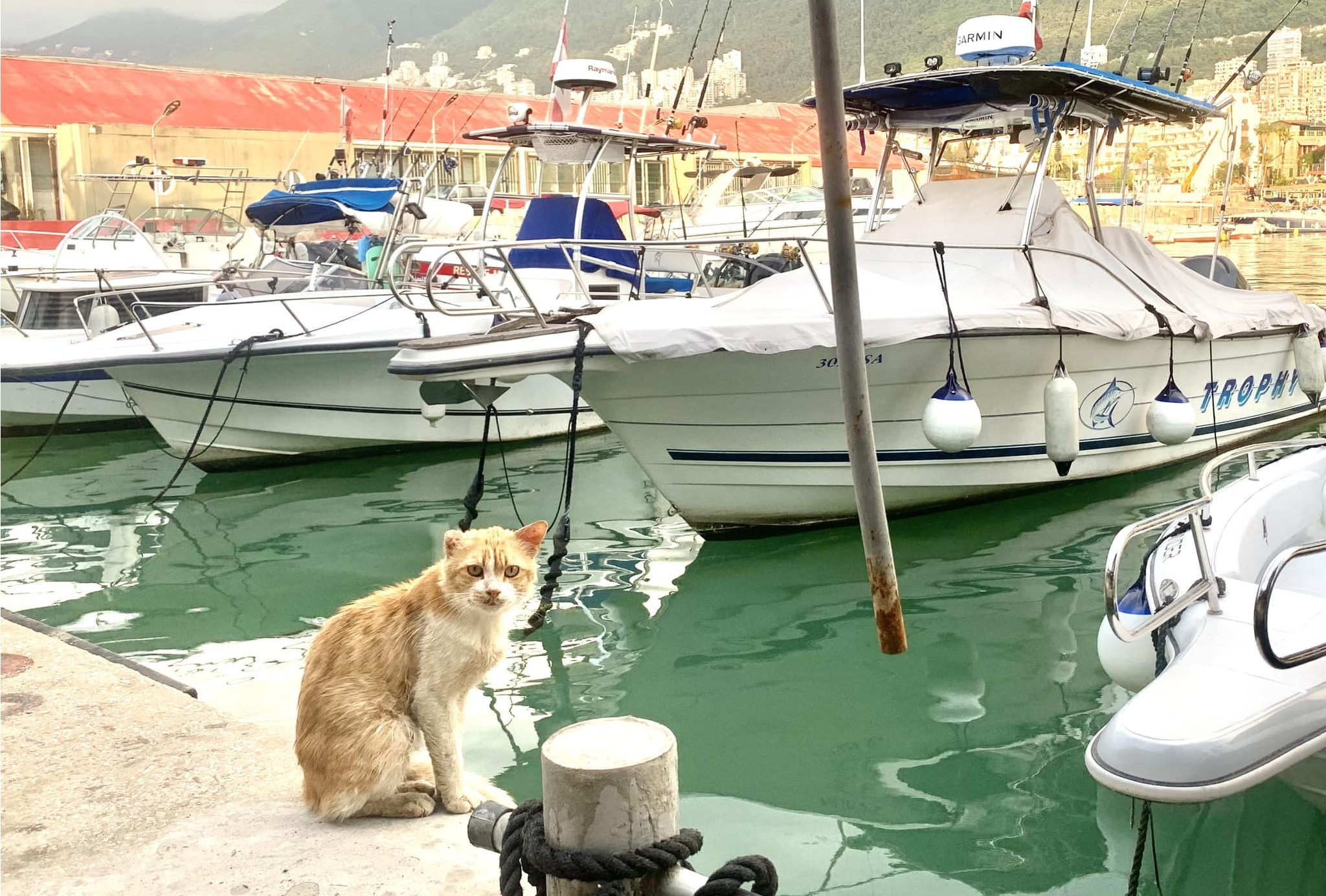 Sea Route Between Cyprus and Lebanon Draws Attention as Regional ...