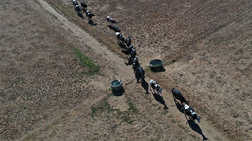 Drought Hits Europe’s Rivers and Crops | Kataeb