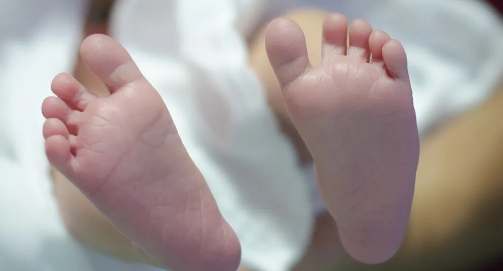 بعد إنجابه 550 طفلا.. محكمة هولندية تعاقب "الرجل الخارق" | الكتائب