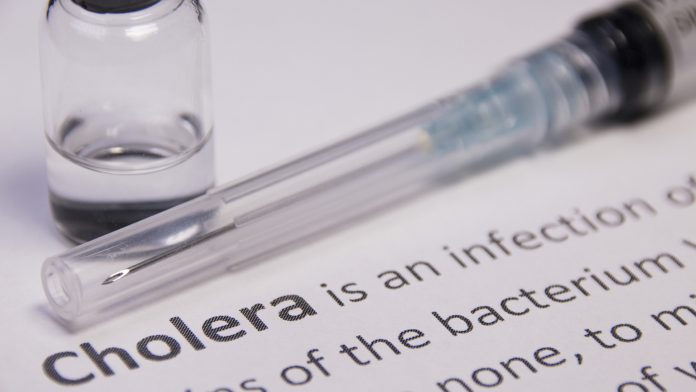An Additional 900 000 Doses of Cholera Vaccines Arrive in Lebanon | Kataeb