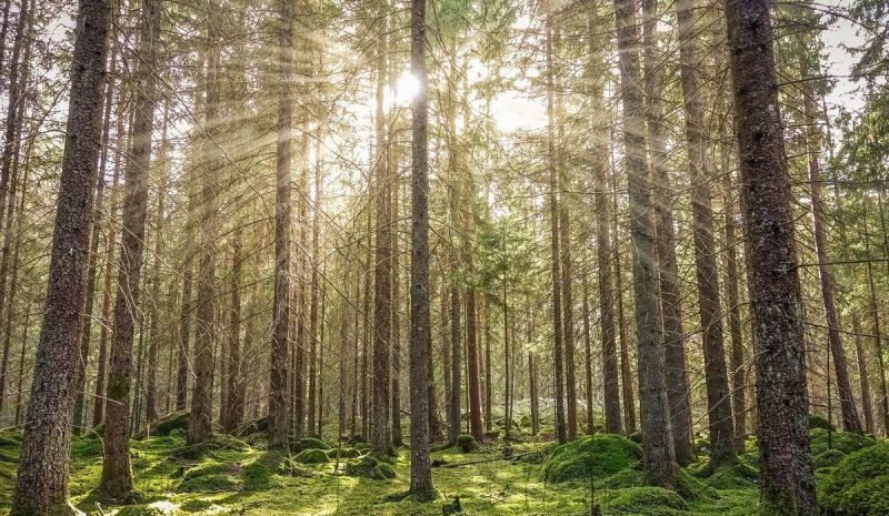 Climate Change and Nature Loss Must Be Tackle| Kataeb | Kataeb